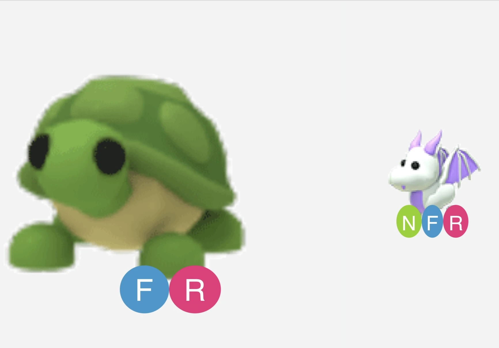 Which offer should I take for my turtle ? | Fandom