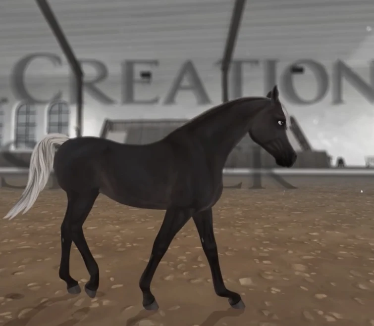 Shadowshield, Snowdancer, links, pets, and more SSO News! | Fandom