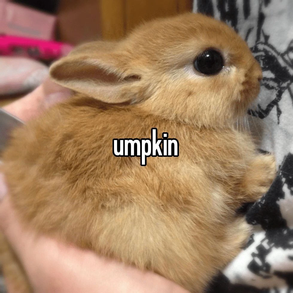 The umpkin | Fandom