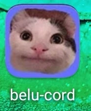 Beluga still owns discord on my phone(idk why) | Fandom