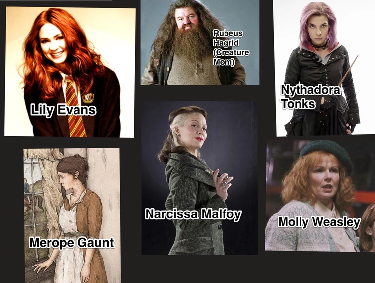 Discuss Everything About Harry Potter Wiki | Fandom