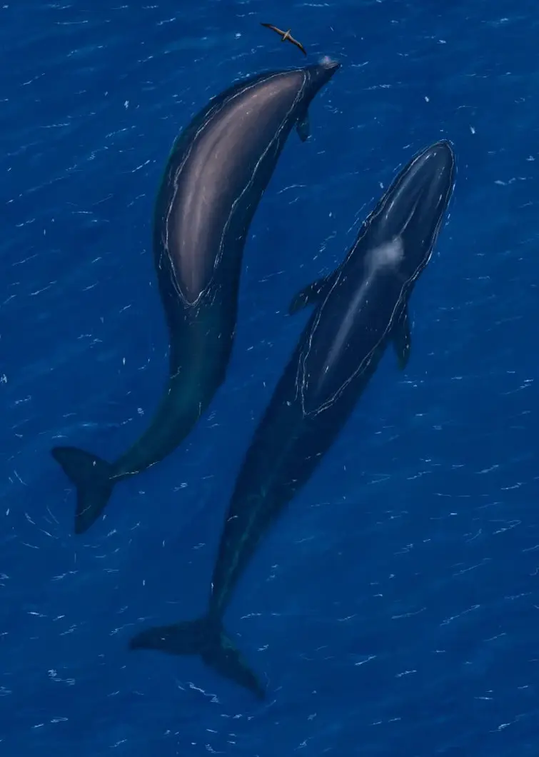 Off Topic Post | Fandom