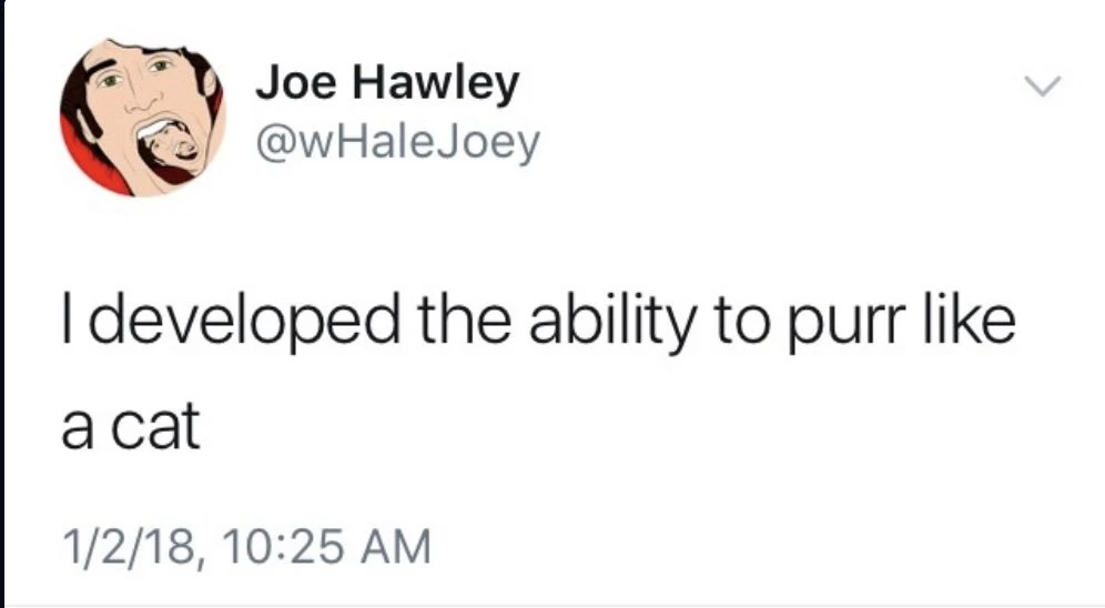 PROOF Joe Hawley is a catboy | Fandom