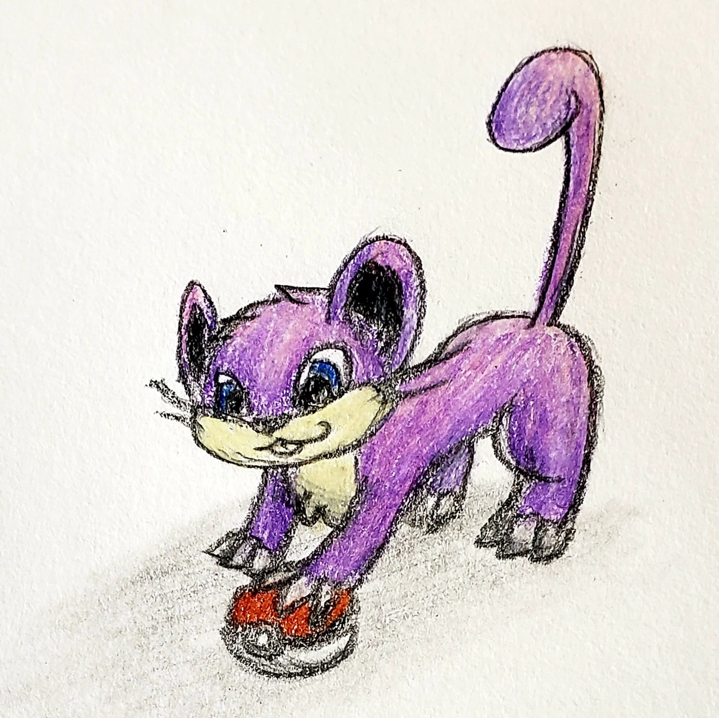 New Daily Pokemon - Rattata | Fandom