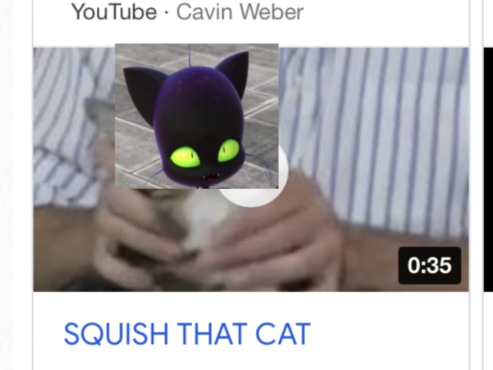 Squish that cat | Fandom