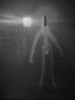 SCP-88835 again | Fandom