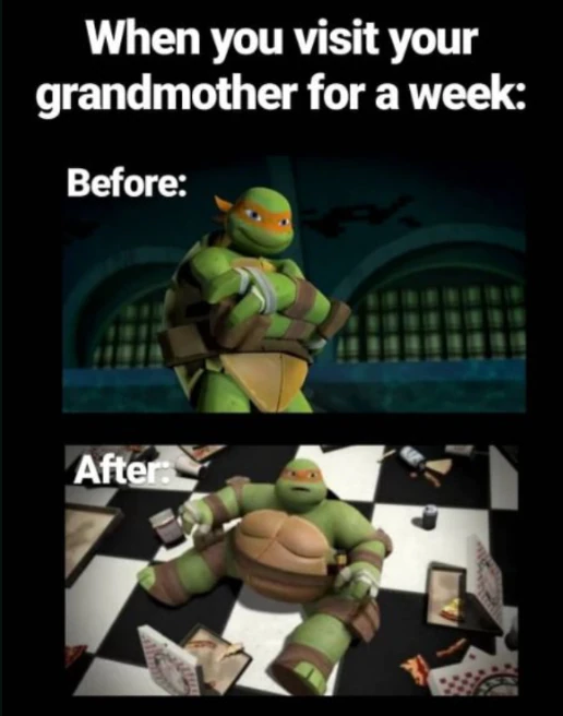 TMNT Meme Of The Day | Fandom