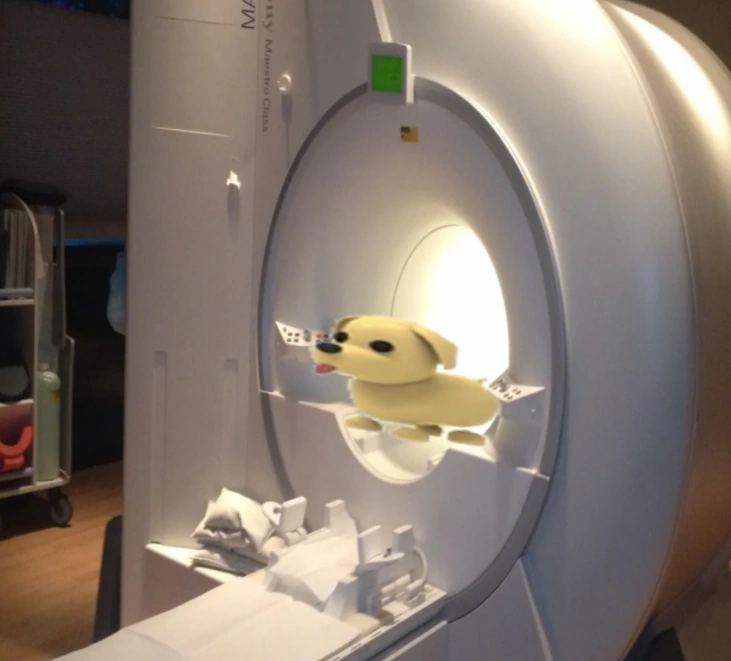 im stuck inside an mri machine | Fandom