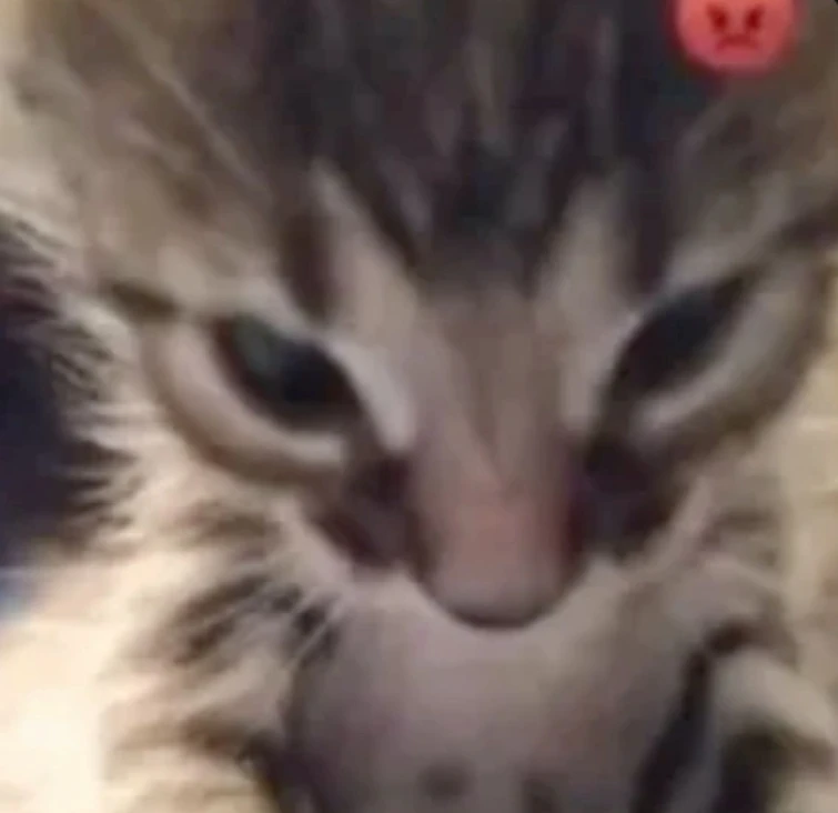 selling zolb for 1.5k | Fandom