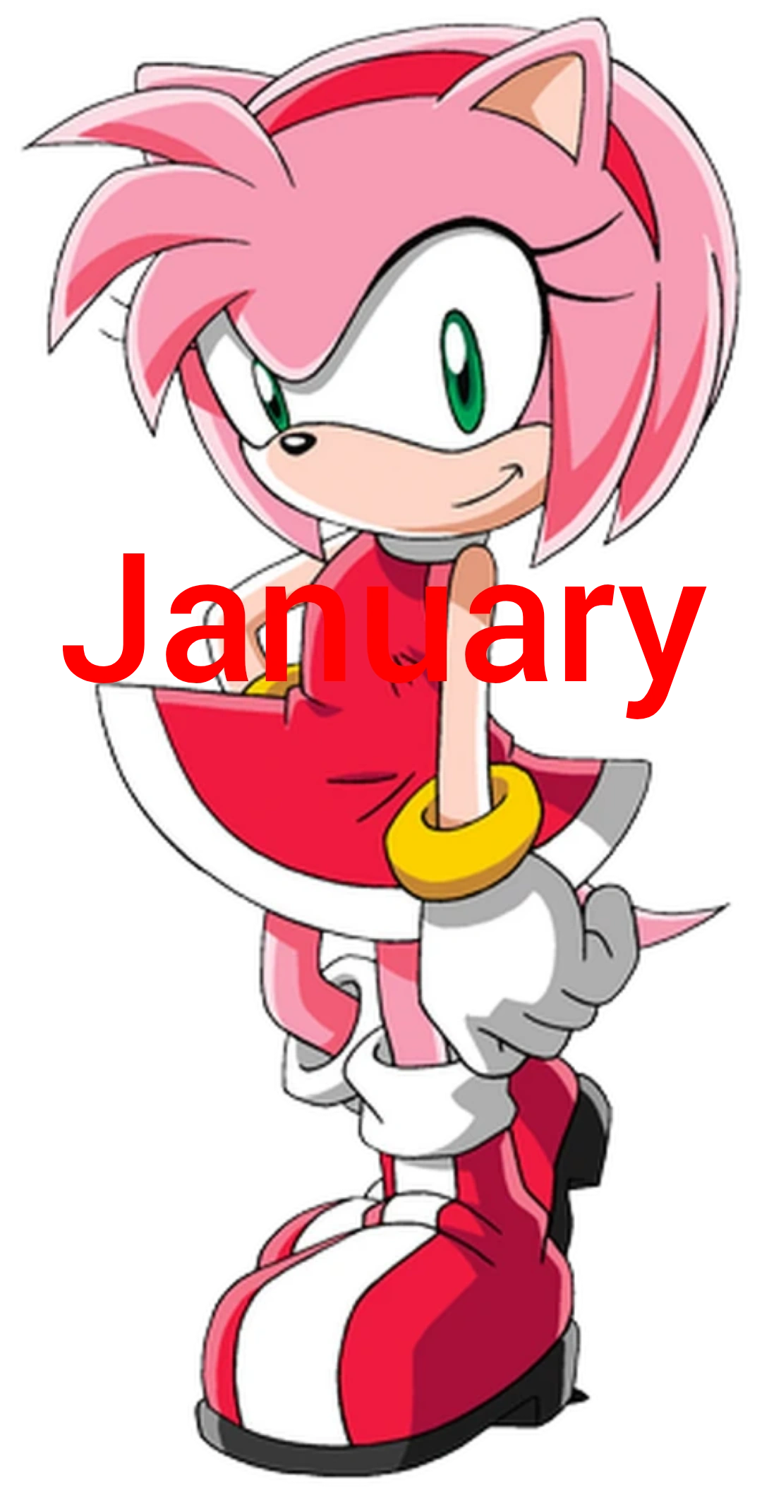 Your month your Sonic X character | Fandom