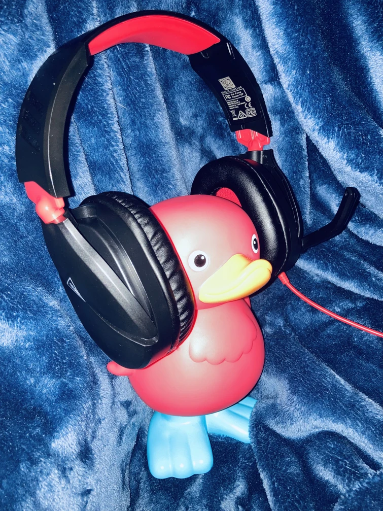 duck | Fandom