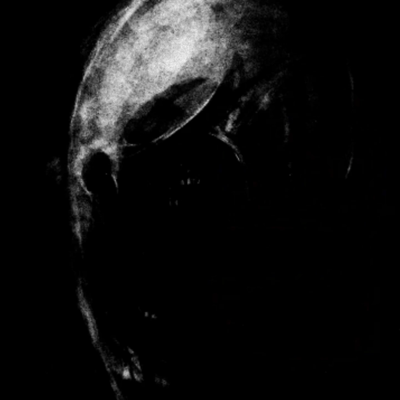 What is origin | Fandom