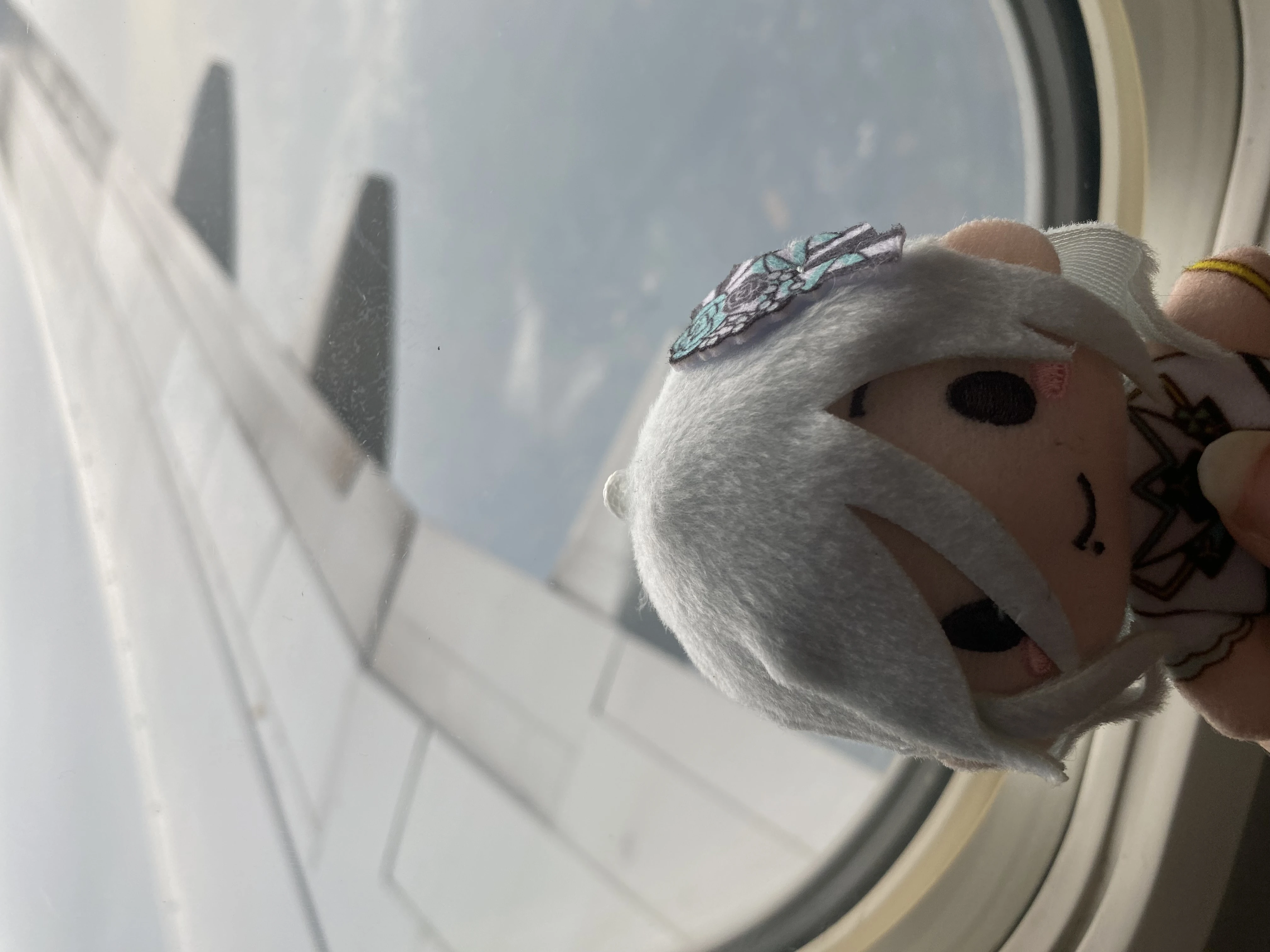 on da plane | Fandom