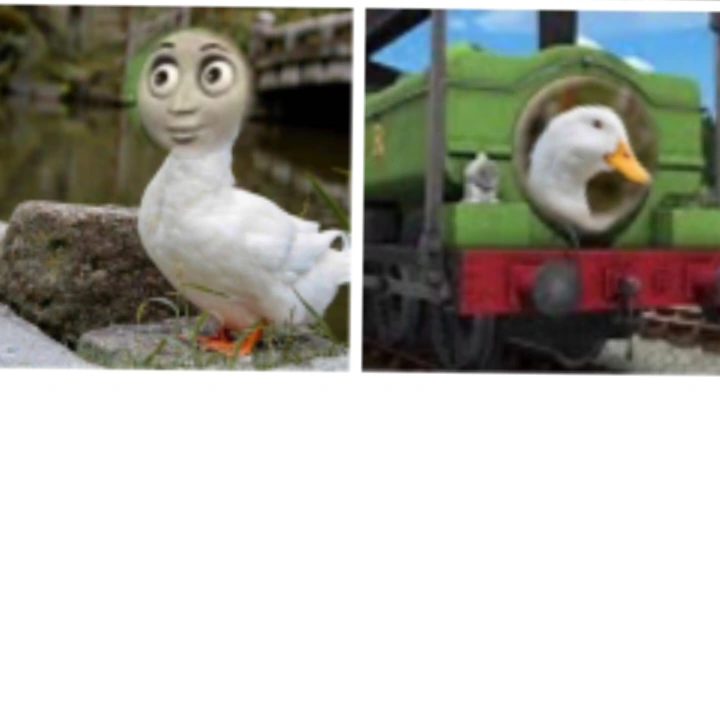 meme of the day | Fandom