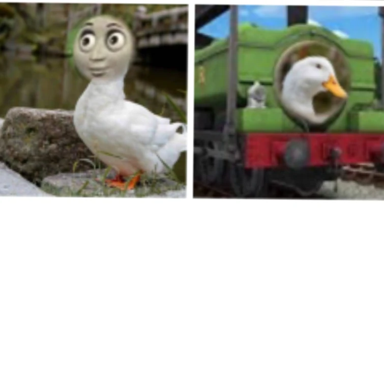 meme of the day | Fandom