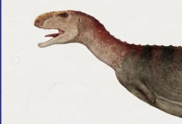 Discuss Everything About Dinopedia | Fandom