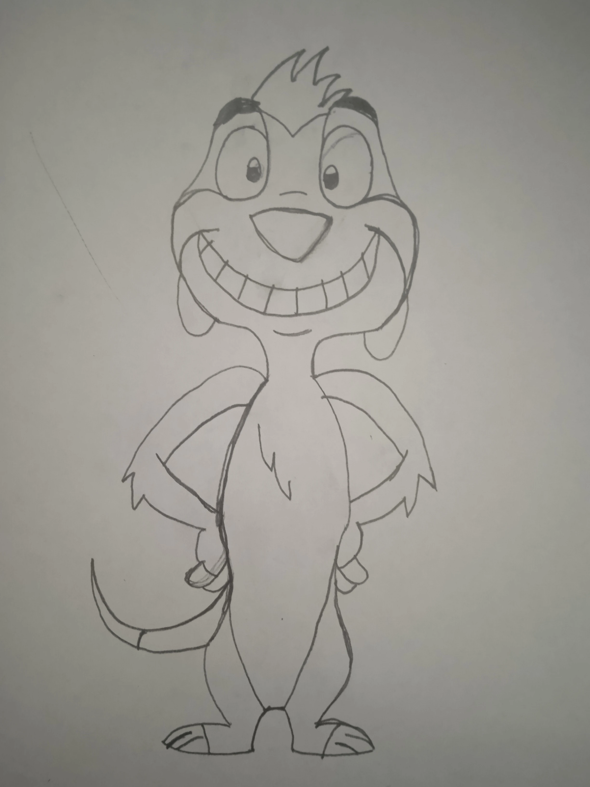 My drawing of Timon | Fandom