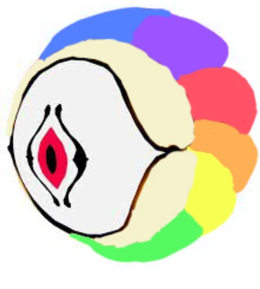 should i make vee as sight/heed from grace | Fandom