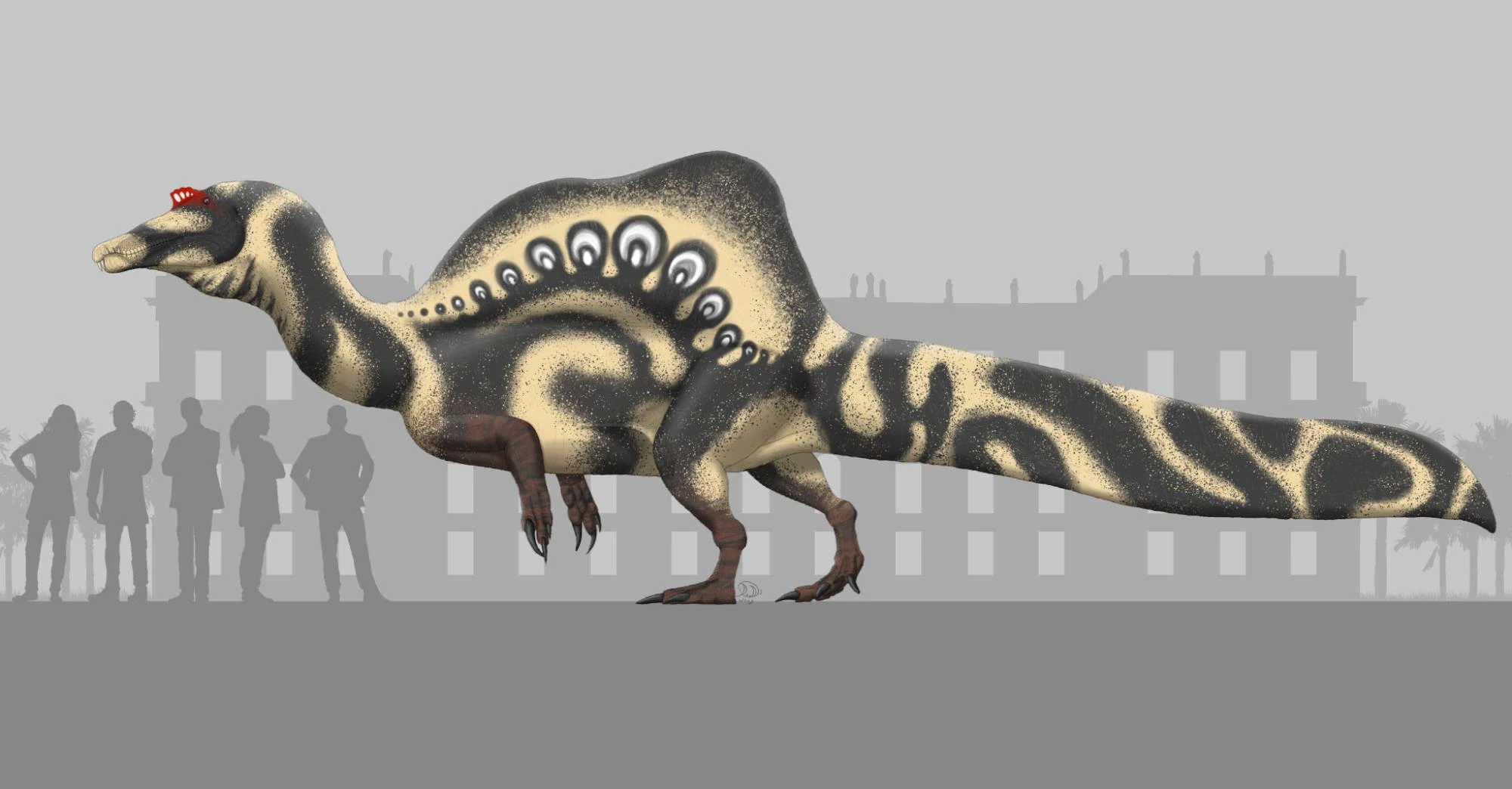 ¿Oxalaia realmente es un spinosaurus o una especie distinta? | Fandom