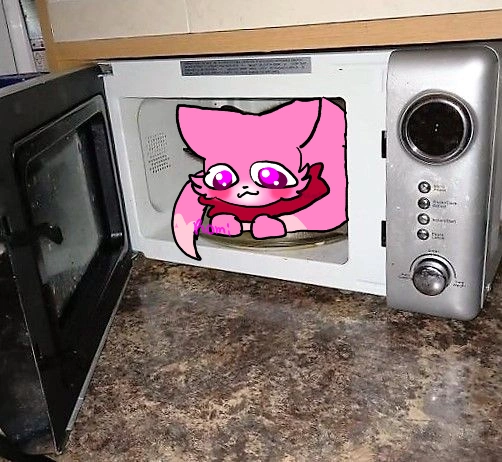 microwave | Fandom