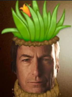 Better call sol | Fandom