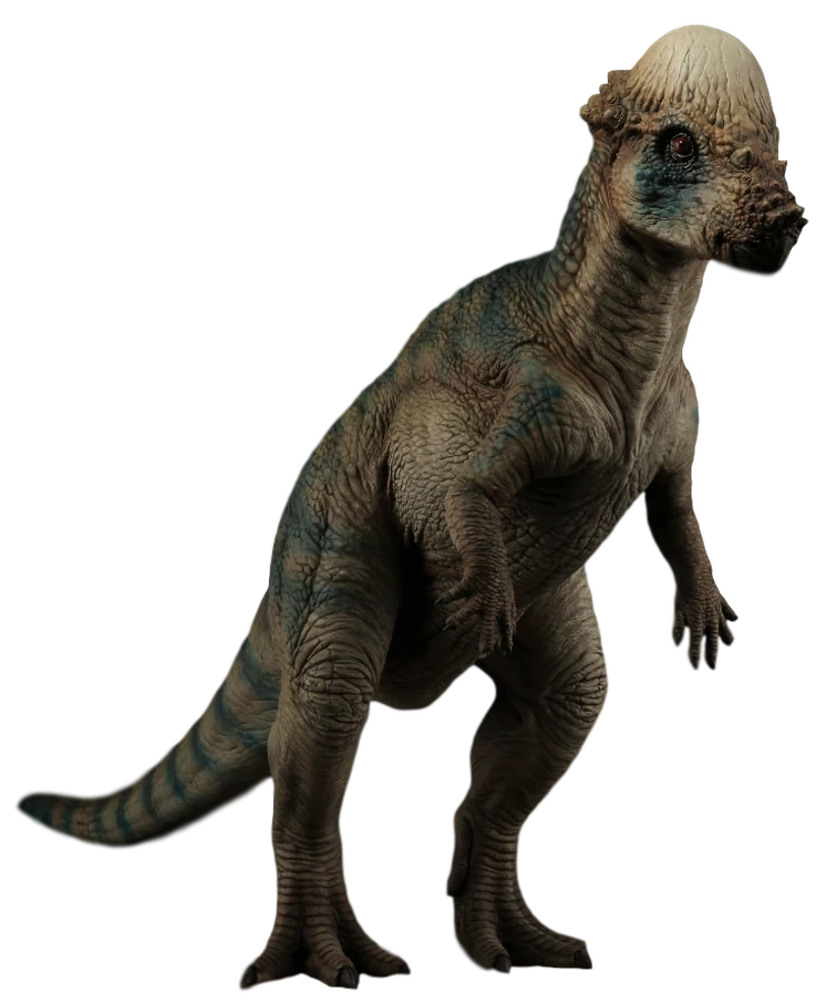 Jurassic Park Battle Tournament Round 4: Pachycephalosaurus vs ...