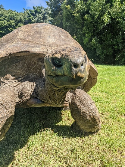 Meet Jonathan | Fandom