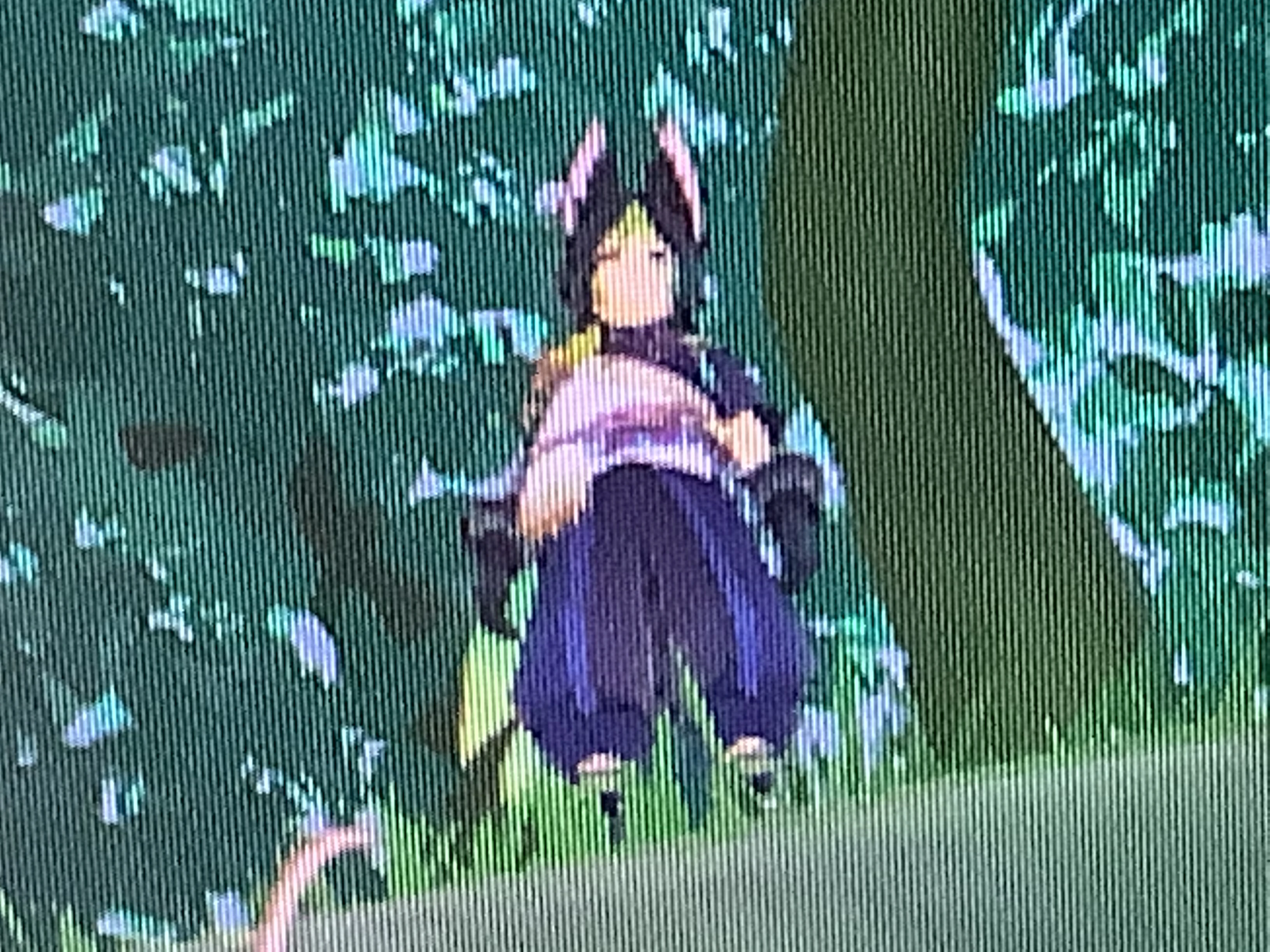 i love story quests | Fandom