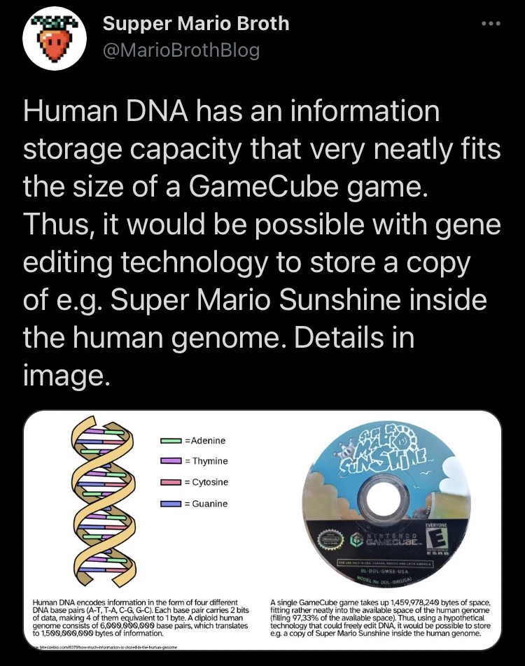 Thanks, Supper Mario Broth | Fandom