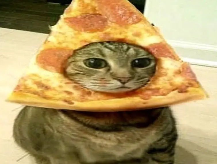 Redrawing memes part 5 | Fandom