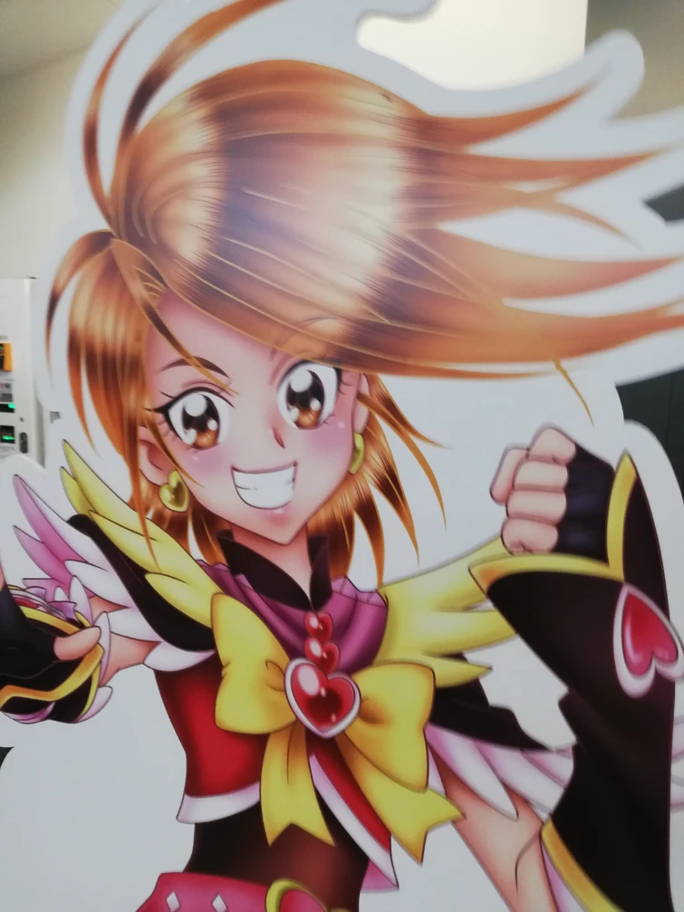 Cure Black and Cure White appeared in All Pretty Cure Exhibition in ...