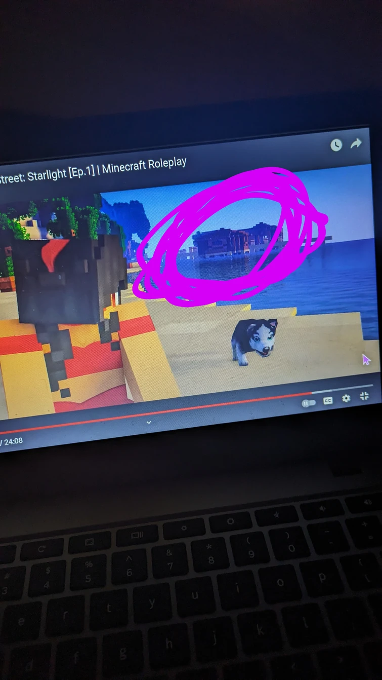 Rewatching starlight | Fandom