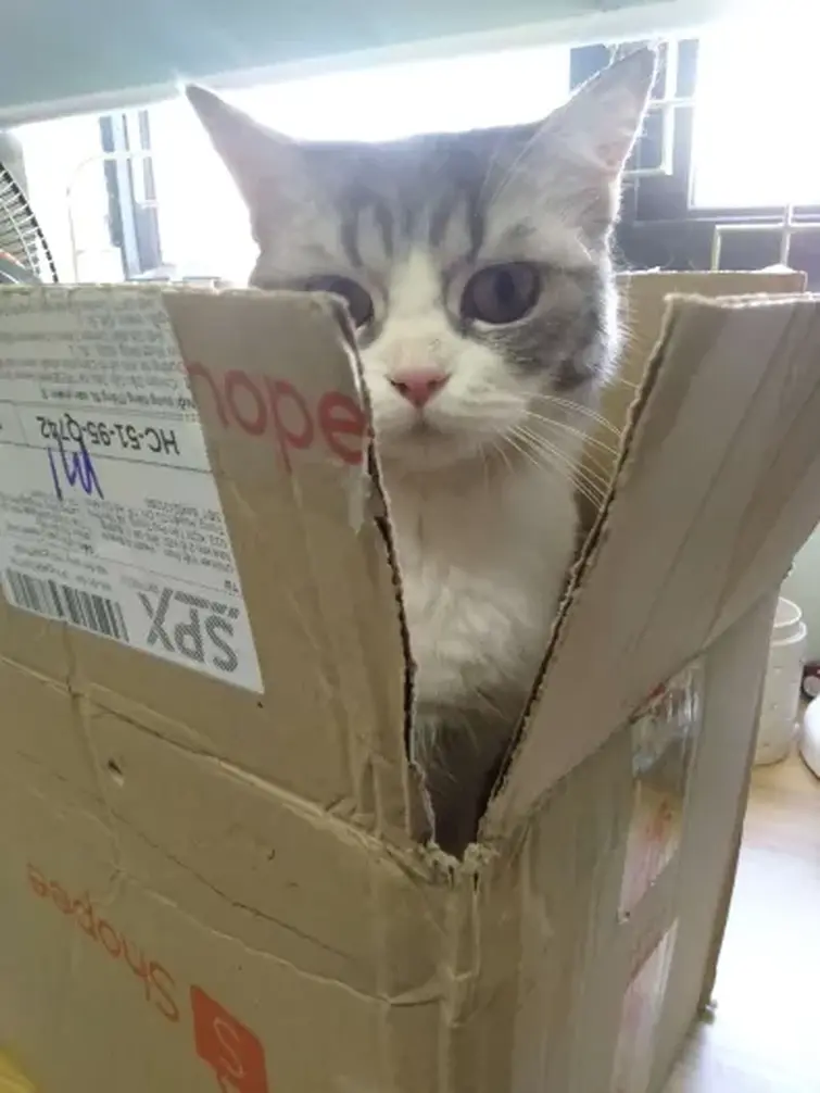 2000th post special | Fandom