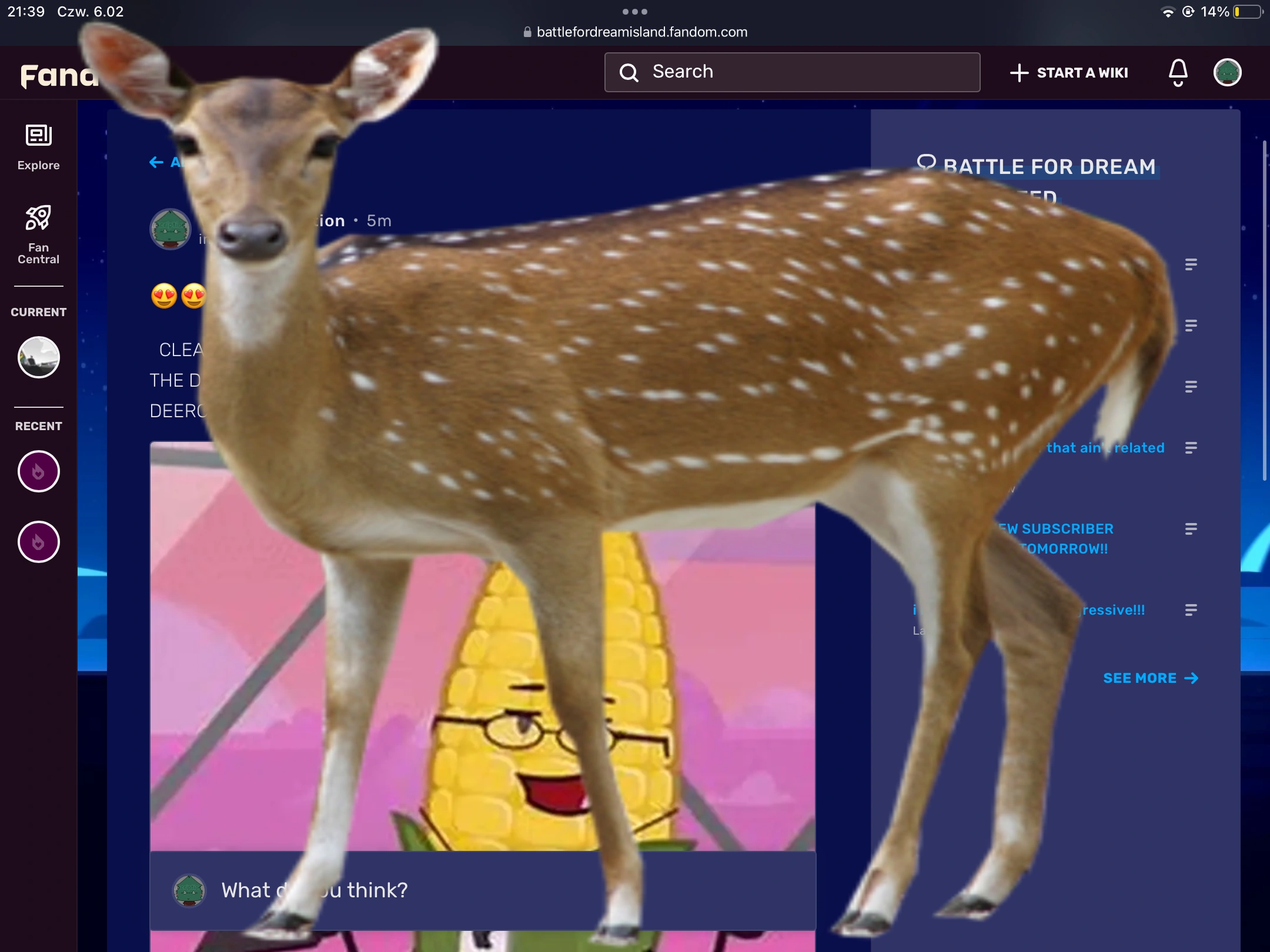 GRRRR 🤬🤬🤬 WHAT KIND OF FANDOM UPDATE IS THIS. MAKE THE OPAQUE DEER ...