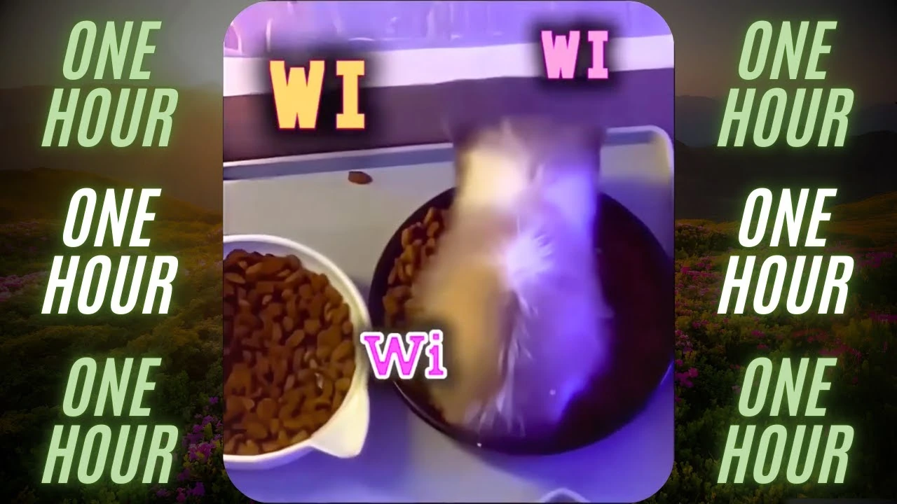 wiwiwi | Fandom