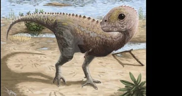 Discuss Everything About Dinopedia | Fandom