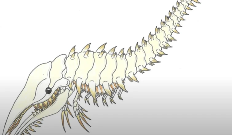 Discuss Everything About Kaiju horde Wiki | Fandom