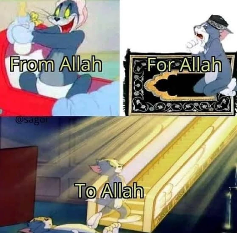 susanalbumparty | Fandom