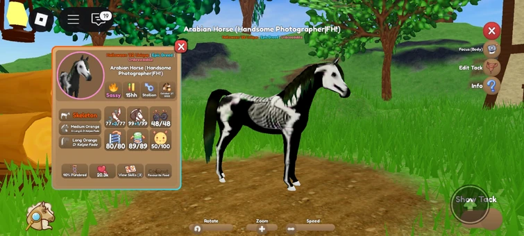 LF A DECENT FRI IUH FOR MY OFFER! | Fandom