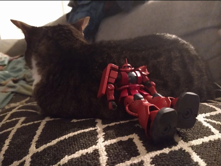 Happy Birthday Char Aznable! | Fandom