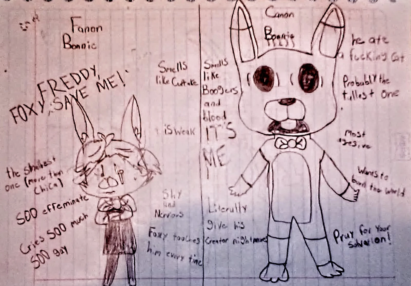 Canon vs Fanon | Fandom