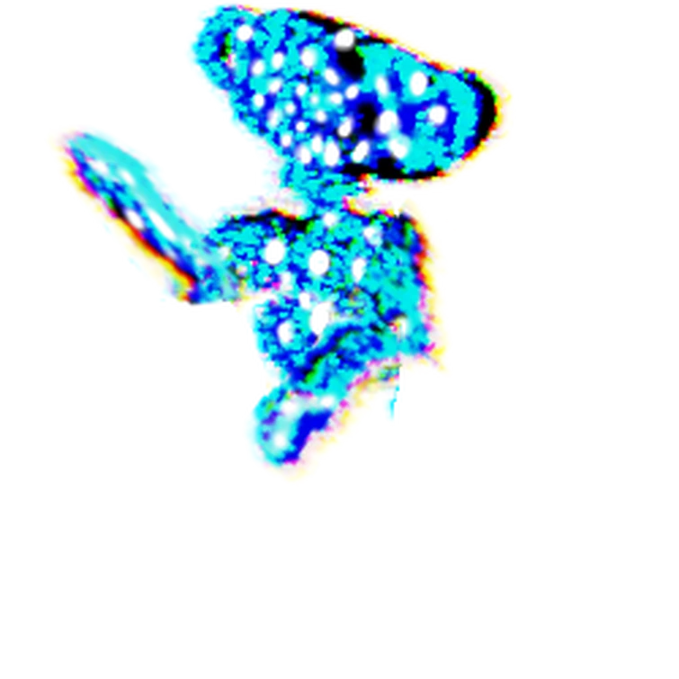 Discuss Everything About Roblox BEAR Wiki | Fandom