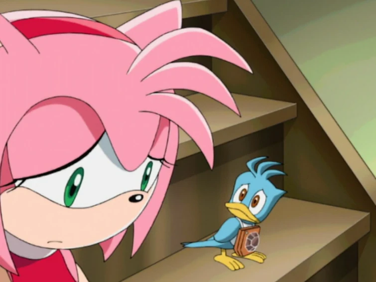 alright people i gonna say it: Amy Rose is underrated | Fandom