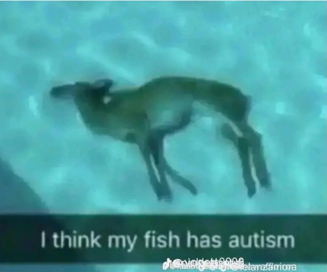 I think my fish has autism | Fandom