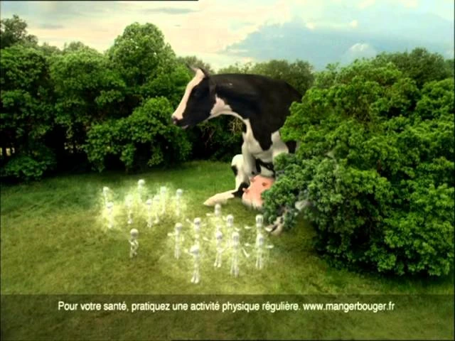 Is this a cursed commercial | Fandom