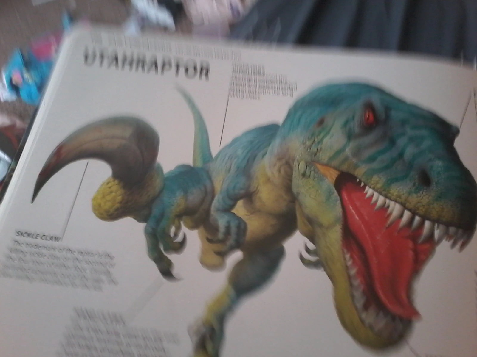 how you think t rex look like? | Fandom