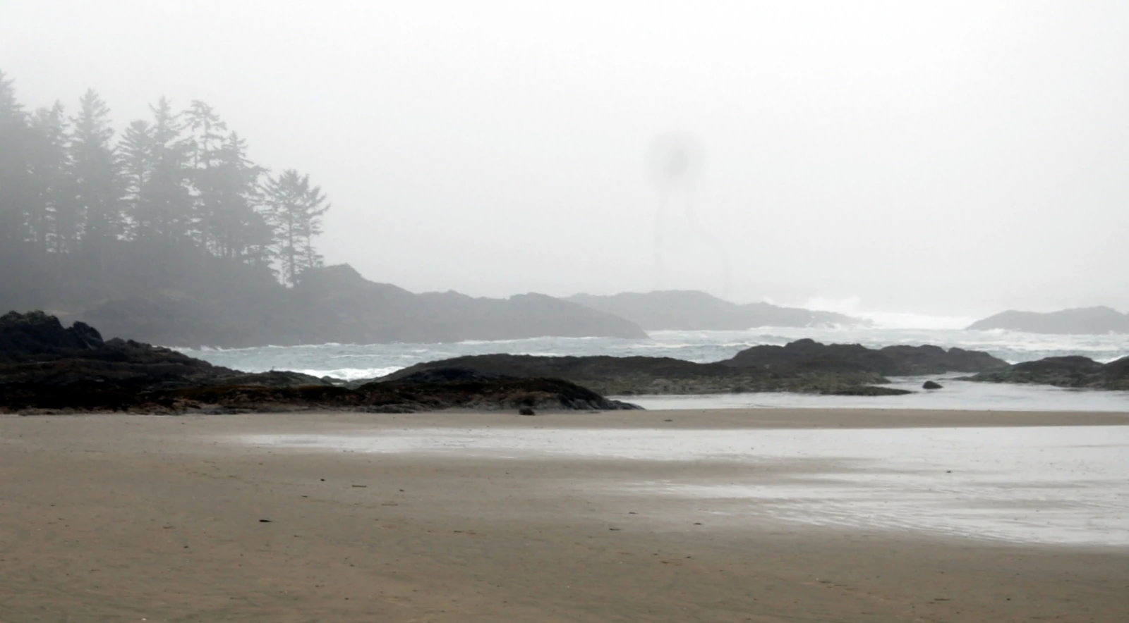 The beach watcher | Fandom