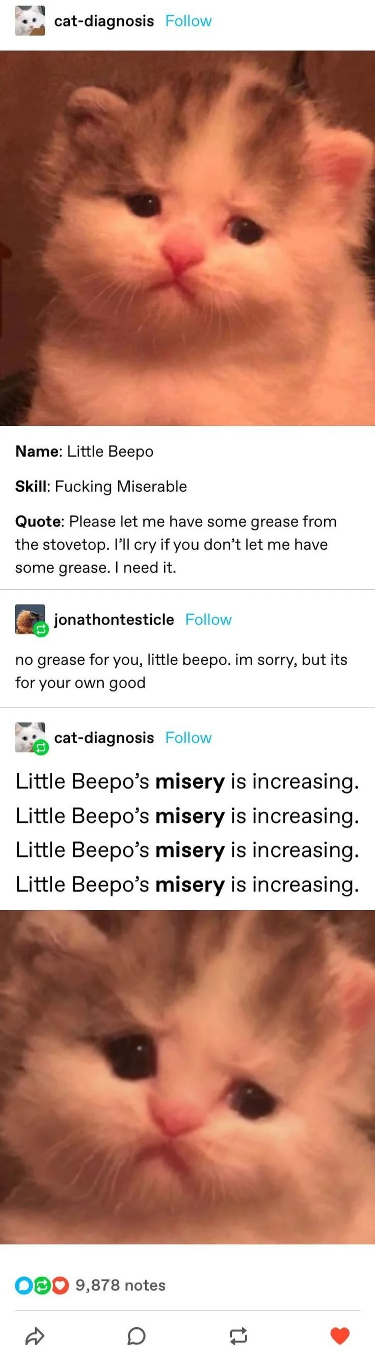 Wiki meme material | Fandom