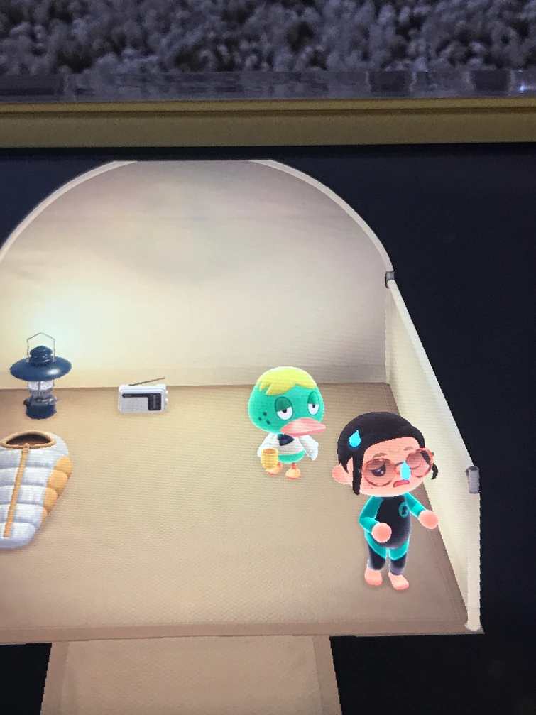 Discuss Everything About Animal Crossing Wiki | Fandom