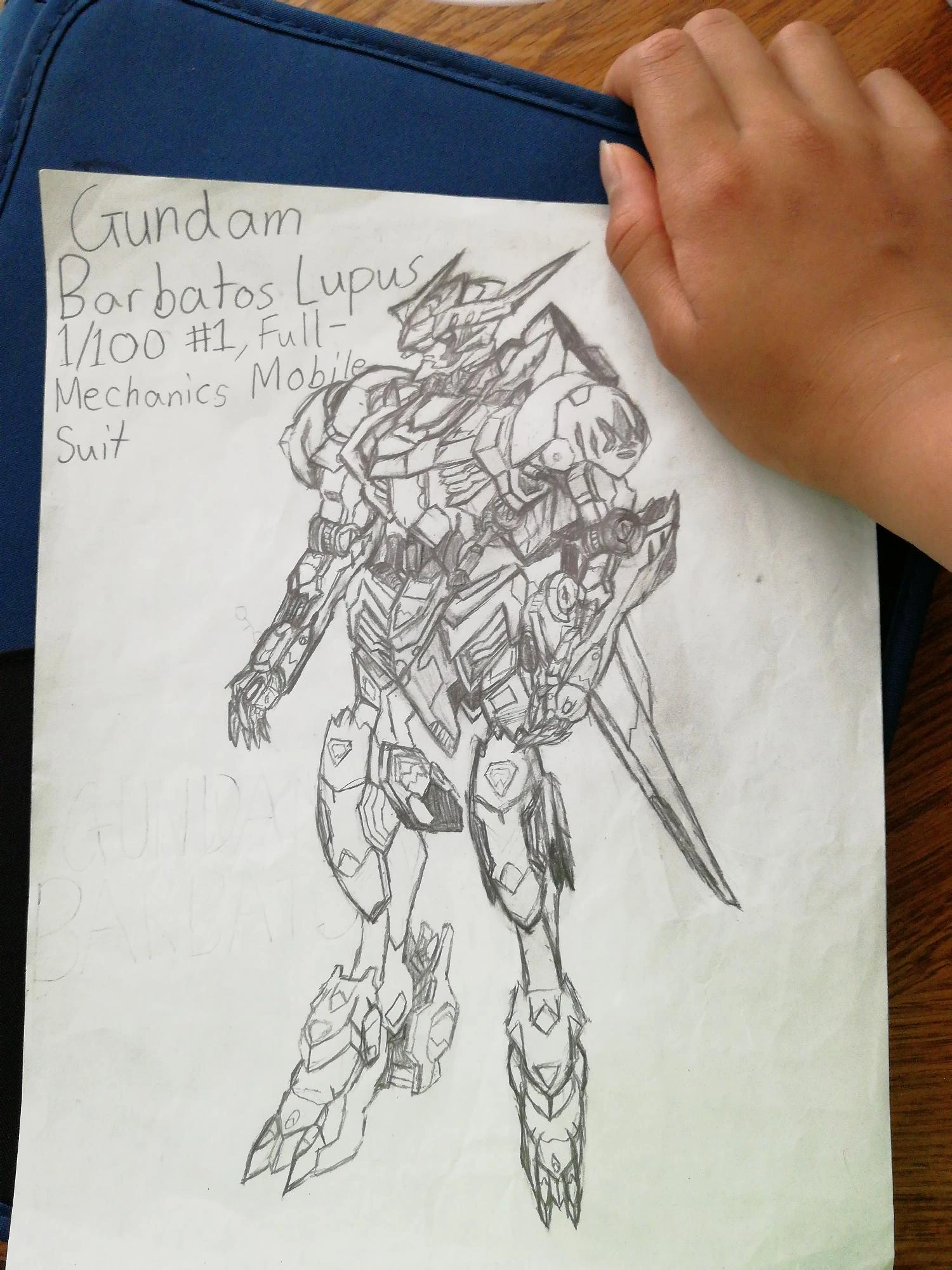 Barbados lupus drawing, good? | Fandom